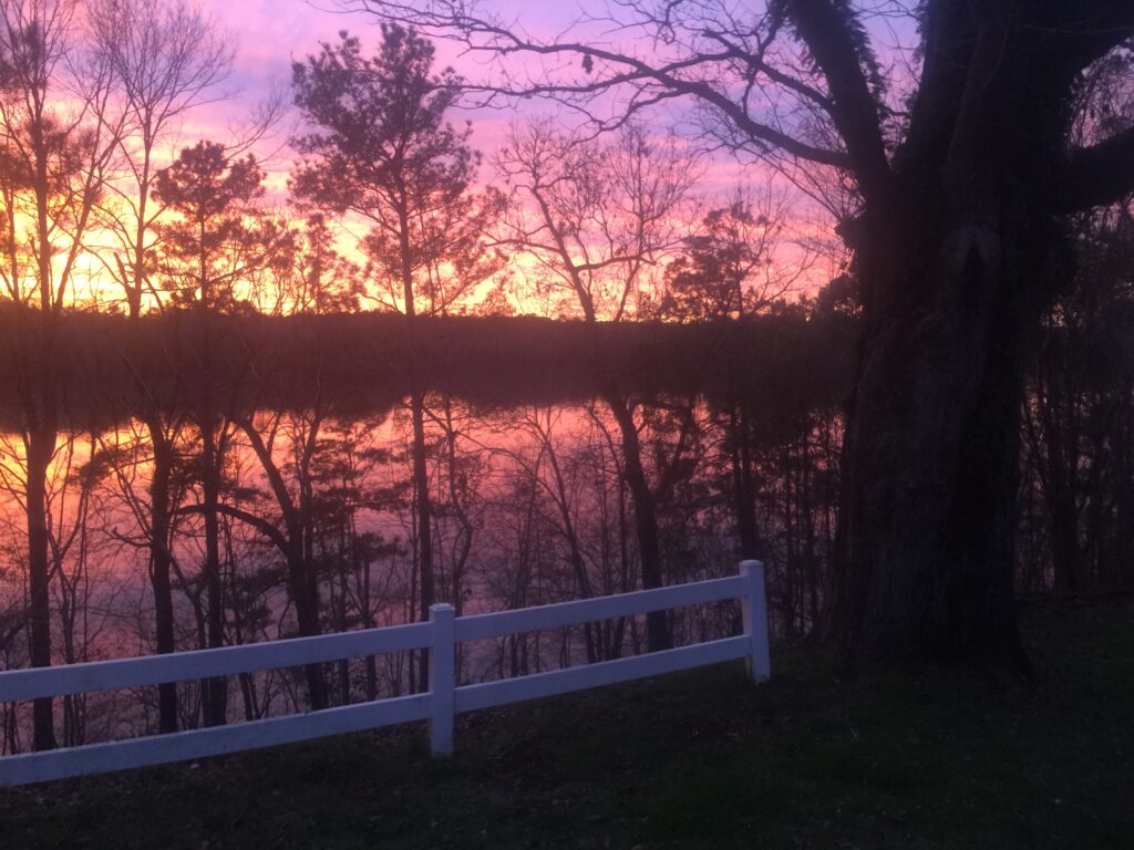 Sunset | Judge Dale Segrest