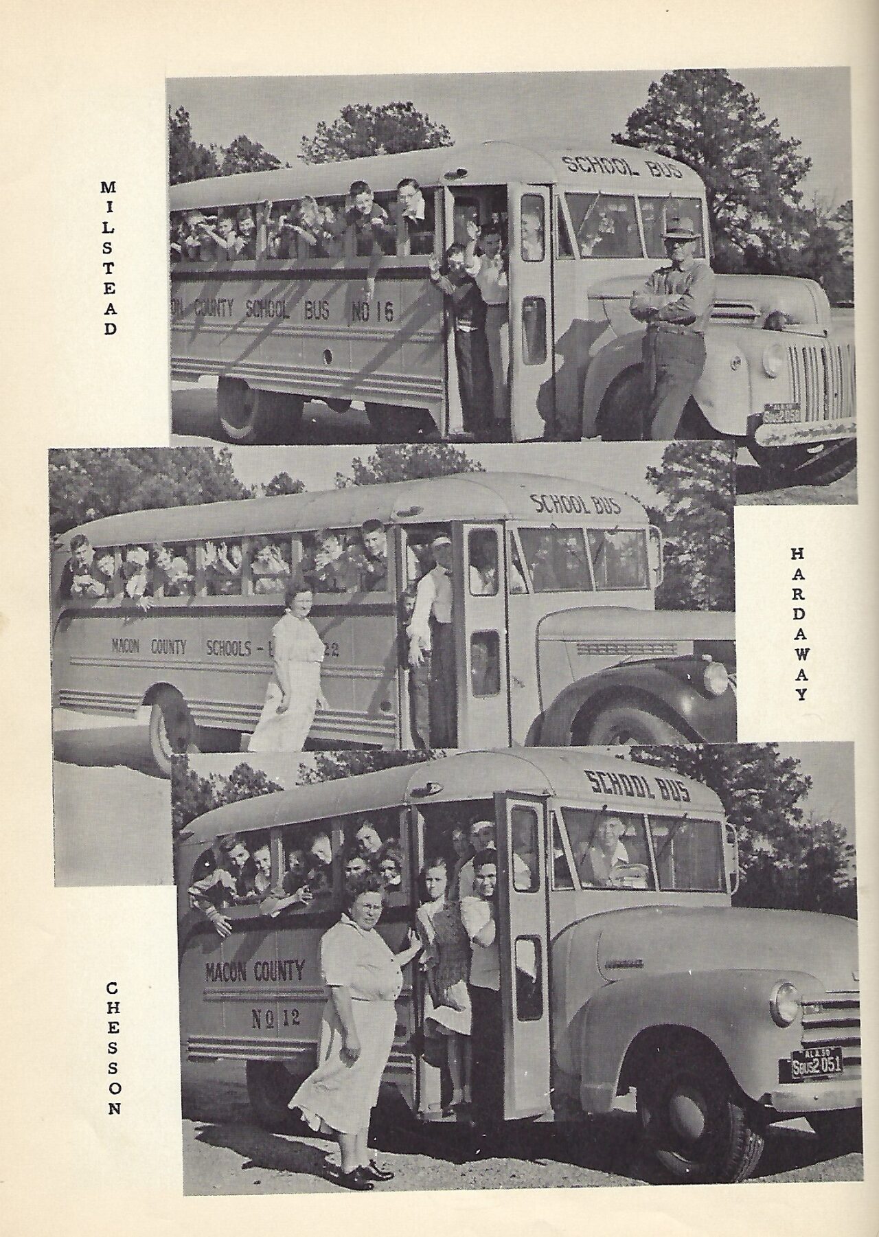 The Little House | Judge Dale Segrest